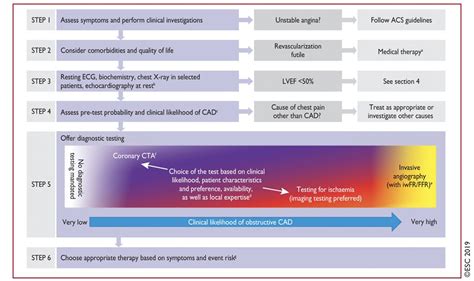 2019 Esc Guidelines Of Chronic Coronary Syndrome