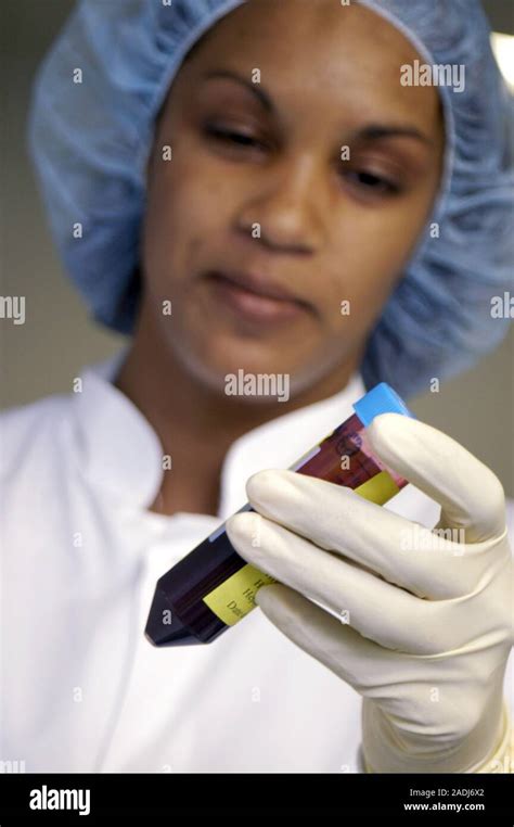 Model Released Blood Sample A Researcher Holding A Tube Containing A