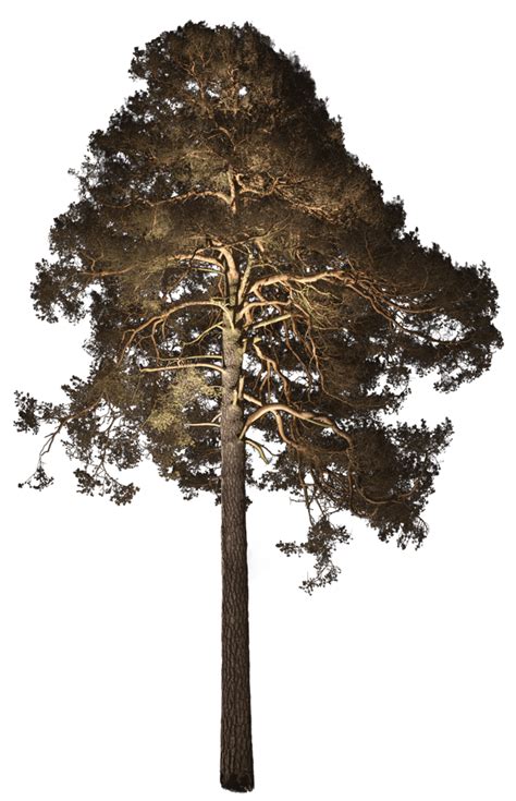 Kane Pixels Collection 4 R Kanepixelsbackrooms