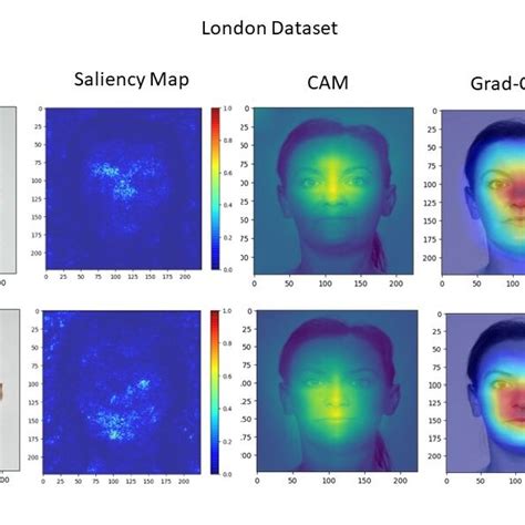 The Salient Regions For Categorising The Image As Morphed Unmorphed For