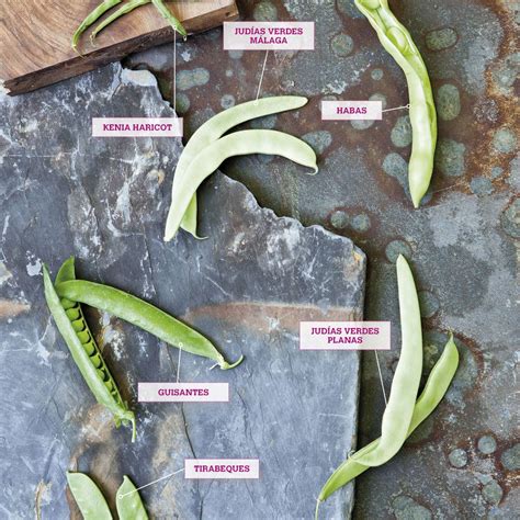 Las Diversas Variedades De Verduras