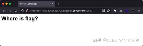 Ctfhub 技能树web信息泄露git 泄露log 知乎 Ctfhub 技能树web信息泄露git 泄露log 知乎