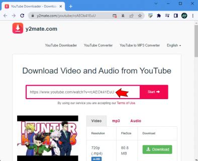 How To Download Live Youtube Videos