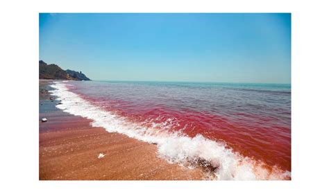 Creating A Cool Image Hover Effect With HTML And CSS CSLAB Coding