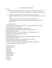 Lab Cell Structure And Functions Pdf Lab Cell Structure And Functions Pre Lab What Do