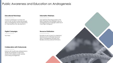 Top 10 Male Reproductive System Powerpoint Presentation Templates In 2025