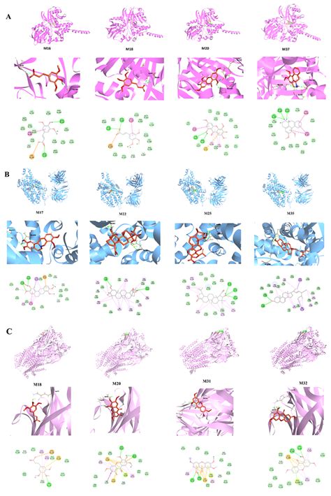 The Pictures Show Molecular Docking Of The 3d Interaction Patterns The Download Scientific