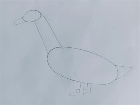 DRAW IT NEAT How To Draw A Duck