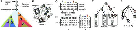 Model For Clonal Evolution And Inference A An Example Of The