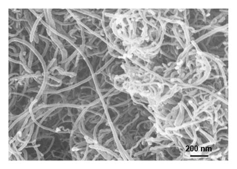 Fe Sem Image Of Multiwalled Carbon Nano Tubes Download Scientific Diagram