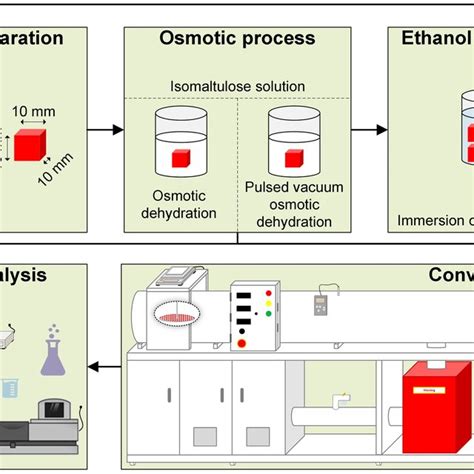 Strawberry Sample Preparation Osmotic Process Ethanol Pre Treatment Download Scientific