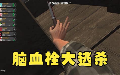 脑血栓大逃杀 瓜皮蛙蛙 瓜皮蛙蛙 哔哩哔哩视频