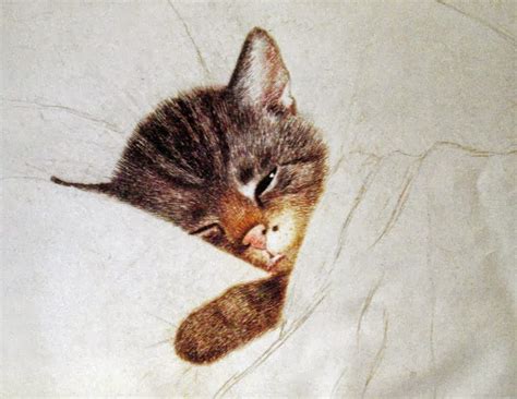 Transpress Nz Chessie The Cat