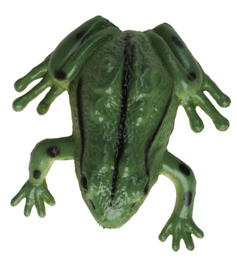 Green Toy Toad Free Photo Download Freeimages