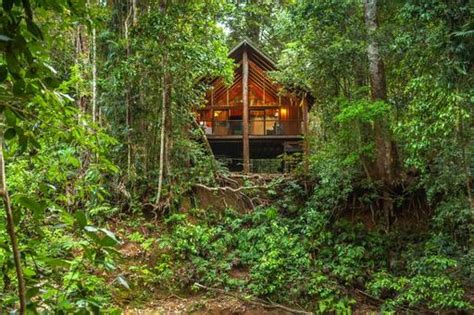 Best Luxury Treehouse Accommodation In Queensland Staytopia