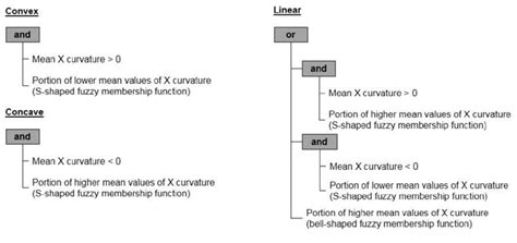 5 Logical Rules For The Definition Of Concave Linear And Convex Download Scientific Diagram
