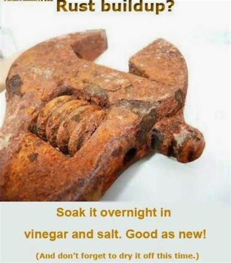 Dont Pin That Salt And Vinegar To Remove Rust