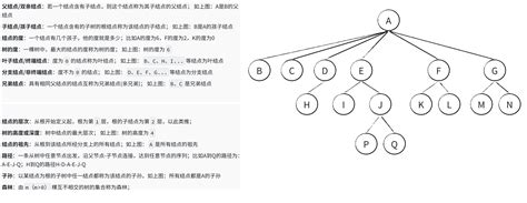 树的基础知识总结 Csdn博客