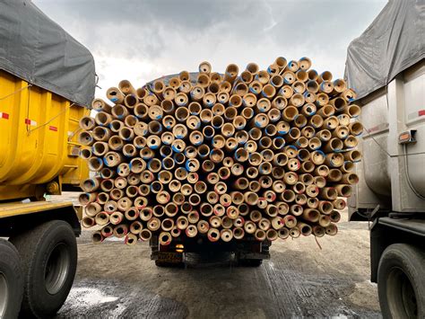Bamboo Export