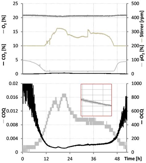 Fermentation Graphs Of A Saccharomyces Cerevisiae Cultivation The
