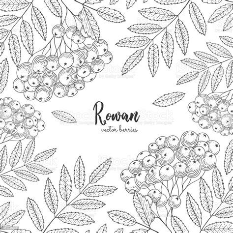 딸기 손 벡터 일러스트 레이 션 프레임입니다 로 완과 자세한 프레임입니다 건강과 아름다움 자연 제품의 패키지 디자인 개념에 대한