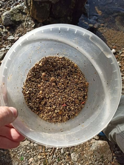 «Дедовский рецепт универсальной прикормки которая оставит позади покупные Рецепты Рыбалка