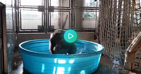You Spin My Head Right Round Right Round  On Imgur