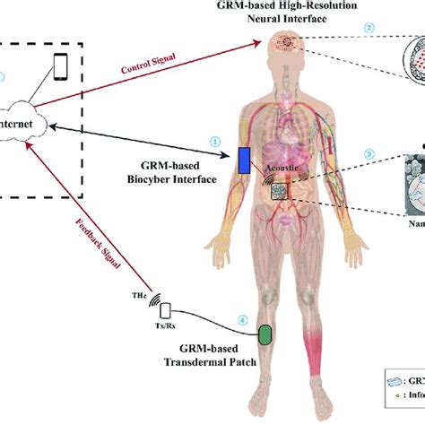 An Iobnt Architecture With Grm Based Bio Cyber Interfaces Facilitating Download Scientific