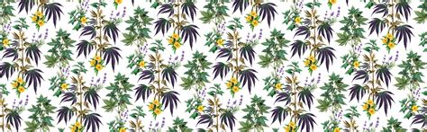 Botanical Packaging Pattern Illustration Behance