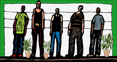 Amnesty Program For Cannabis Licenses Should States Offer A Window