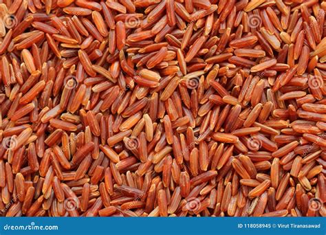 Red Brown Raw Rice Stock Image Image Of Grain Cereal 118058945
