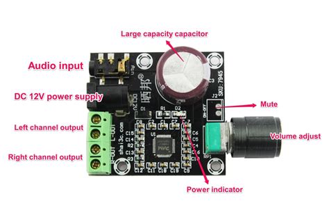 PAM W Dual Channel V Digital Audio Amplifier Module PAM Audio Amplifier Module
