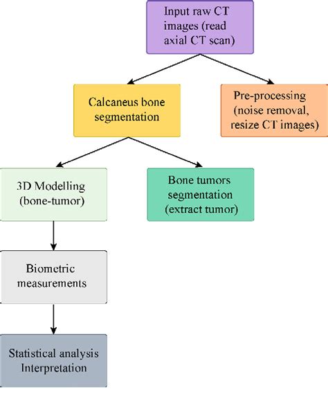 figure 1 from an automatic approach for bone tumor detection from non