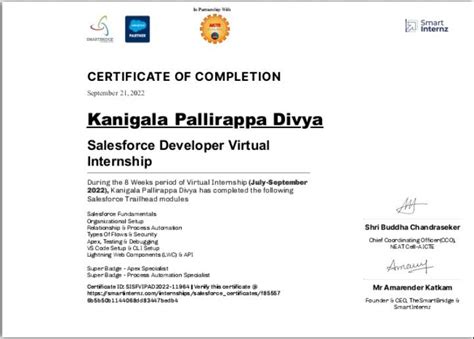 Divya K P On Linkedin Salesforce Smartinternz