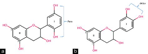 A 2d Flavan 3 Ol Structure B Catechin Structure Download Scientific Diagram