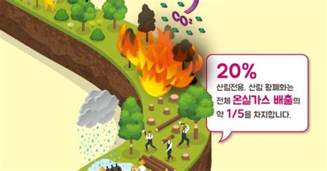 산림청 해외탄소배출권 사업 Redd 일반인 과정 운영