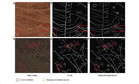 Example Images Used To Compare The Improved Deeplabv3 And The