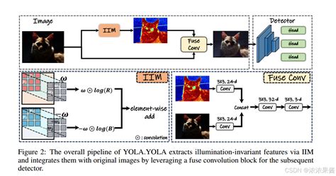 《you Only Look Around Learning Illumination Invariant Feature For Low Light Object Detection》翻译