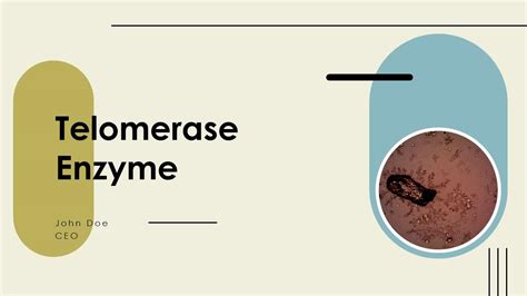 Telomerase Enzyme Ppt Template Acp Ppt Sample
