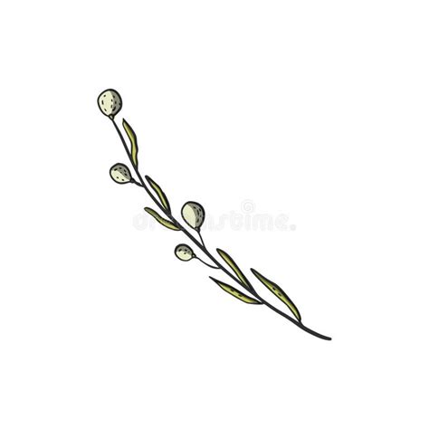 Jurassic Jungle Plant Nature Leaf Forest Flora Illustration Botanical