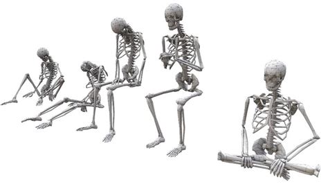 Pin On Strange Anatomy