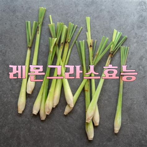 레몬그라스 효능 영양성분 고르는법 부작용