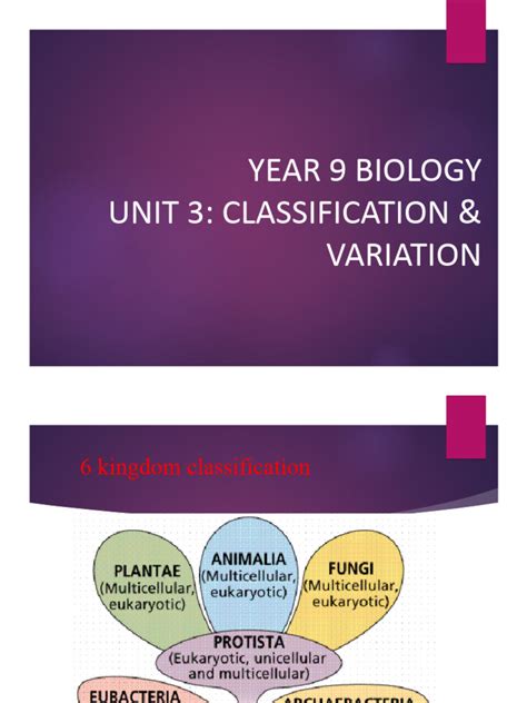 Unit 3 Classification And Variation Download Free Pdf Organisms Taxa