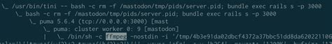Offer Flexibility To Limit Load Caused By Video Transcoding · Issue