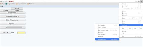 sap abap central simulation of itsmobile applications from chrome browser