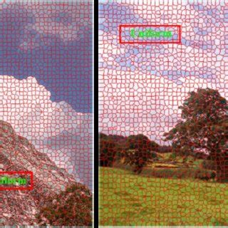 Examples Of Training Samples From Uniform And Non Uniform Regions Download Scientific Diagram
