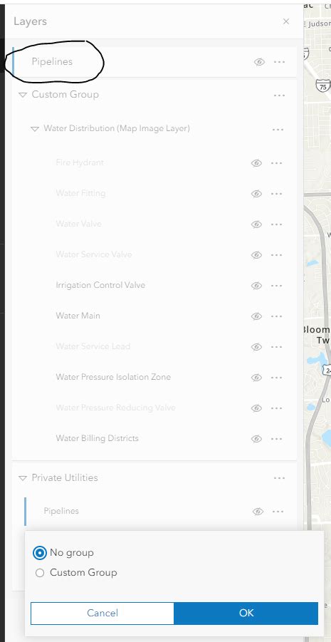 Grouping Methods With Map Image Layers Esri Community