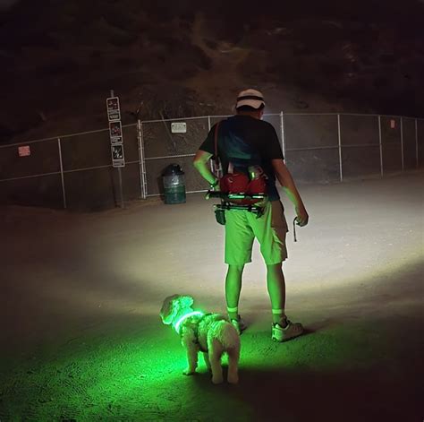 Kyungja 2009 8 12 비 내리는 날 해바라기 영상이미지 강원도 태백 구와우 마을 해바라기밭에 소낙비가 내린다 비바람이 분다 걸어가는 사람 이채윤과