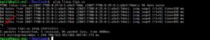 How To Terminate A Terminal Command Linux Tips
