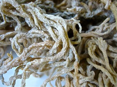 Increase Your Sex Drive With Living Foods Frugivore Magazine